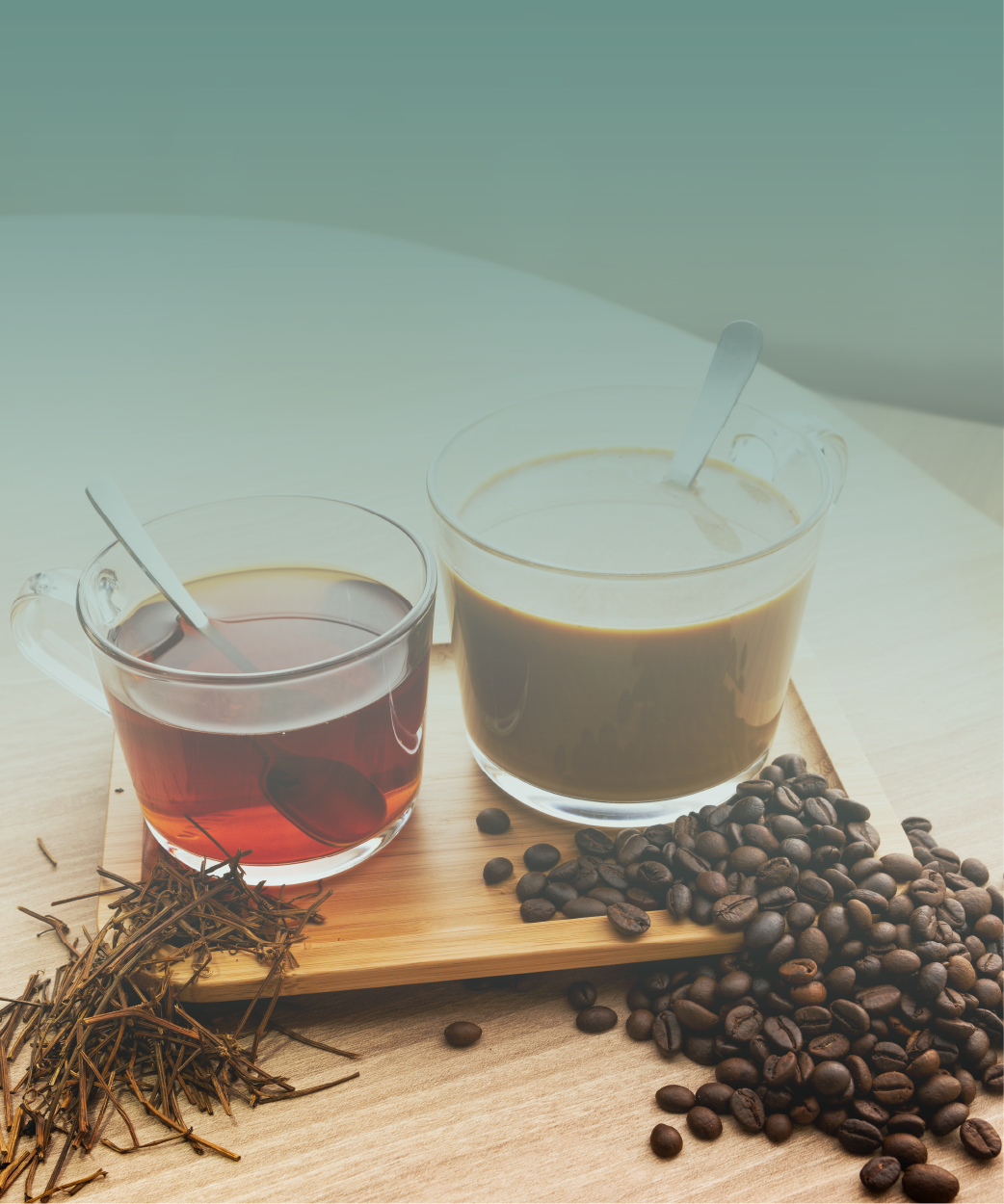 “Acomo – over ons & missie in plantaardige ingrediënten” - Acomo